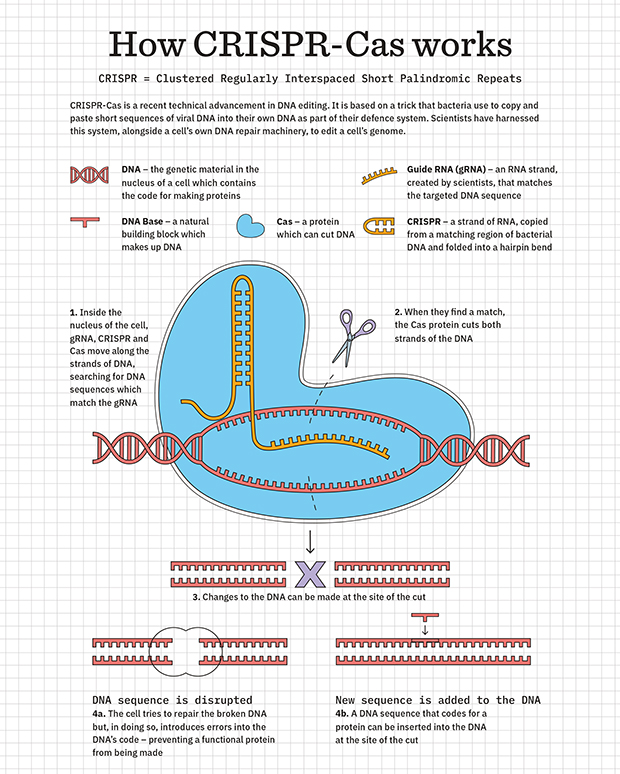 DIY Biology kits: what’s really growing inside? | EMBL