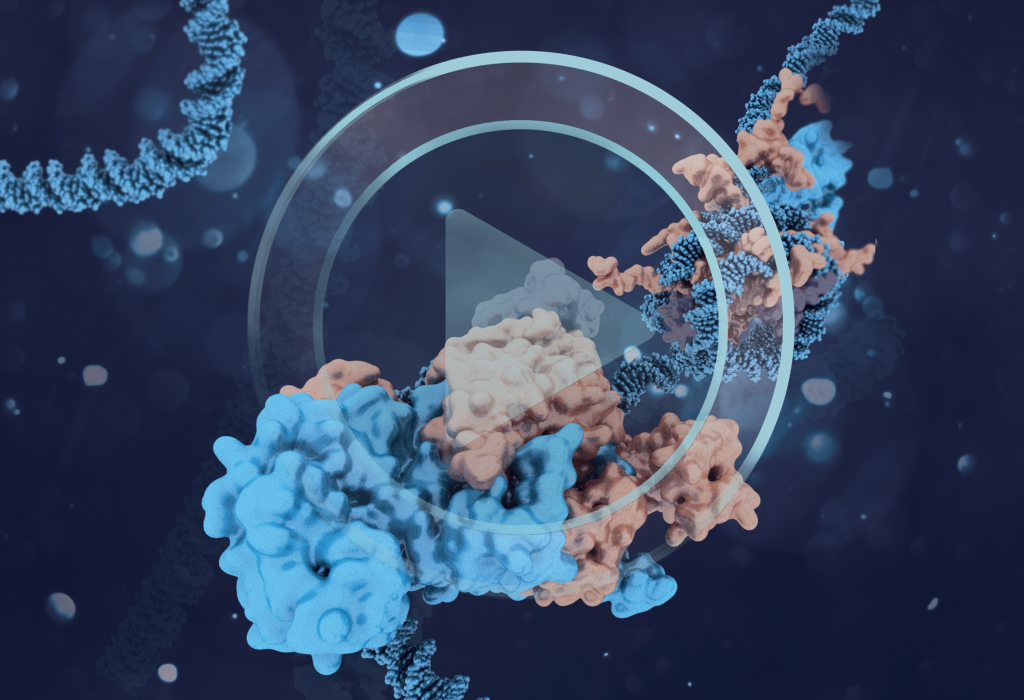 Transcription factors controlled by DNA sequence | EMBL