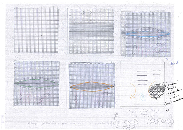 Drawing knowledge | EMBL