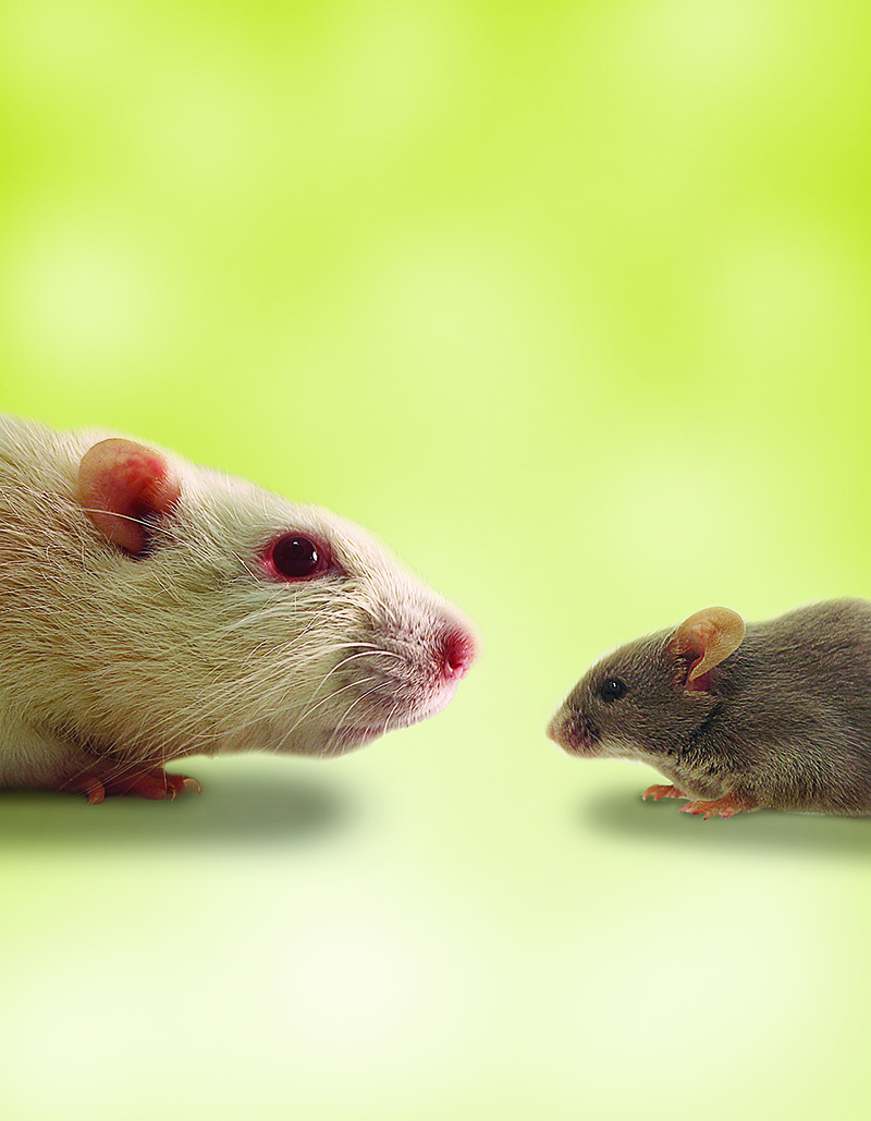 What are you scared of? | EMBL