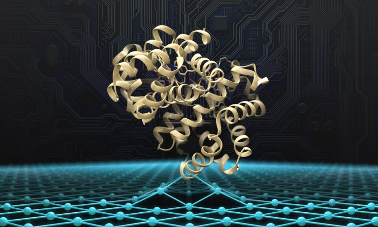 Solving the protein structure puzzle | EMBL