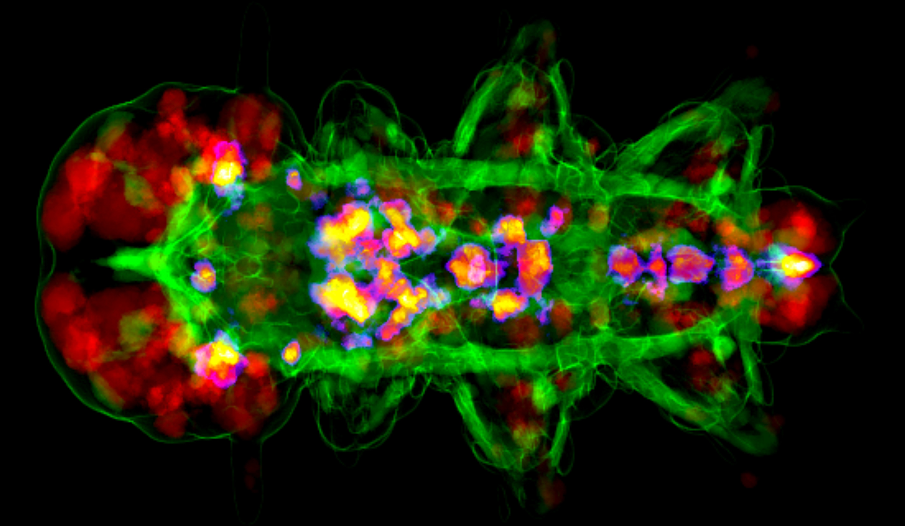 Living laboratories | EMBL