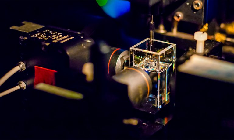 James Swoger Archives | EMBL