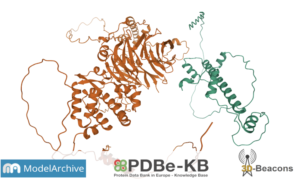 Protein Data Bank in Europe Archives | EMBL