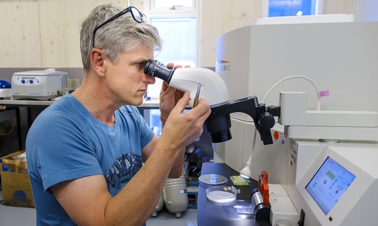 Examining life along Iceland’s coasts | EMBL