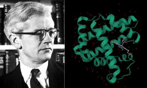 Case study: AlphaFold uses open data and AI to discover the 3D protein ...