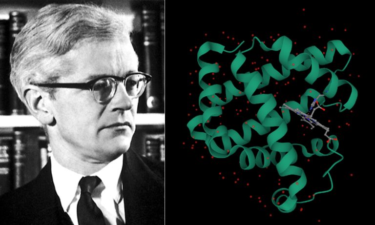 Case study: AlphaFold uses open data and AI to discover the 3D protein ...
