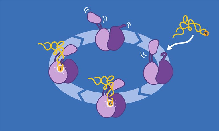 Genomic Data Infrastructure – integrating genomics into healthcare | EMBL Genomic Data Infrastructure – integrating genomics into healthcare | EMBL