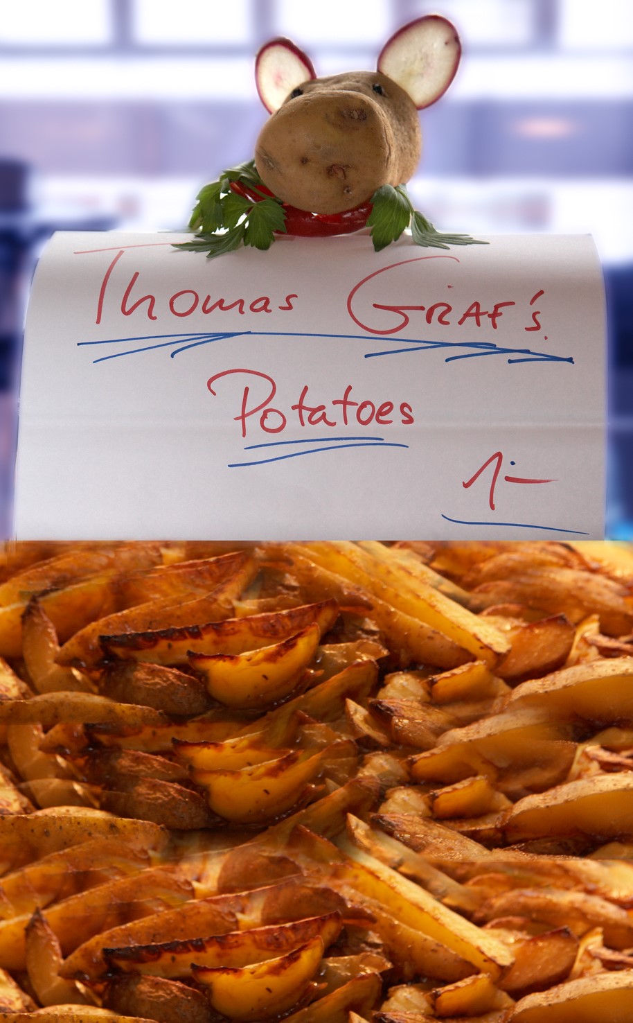 After EMBL: Thomas Graf | EMBL