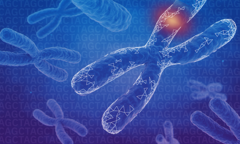 Providing a cellular ‘all-clear’ signal to resume protein synthesis | EMBL