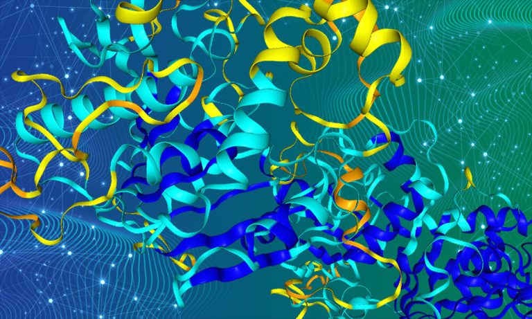 Revealing the secrets of protein evolution using the AlphaFold database ...