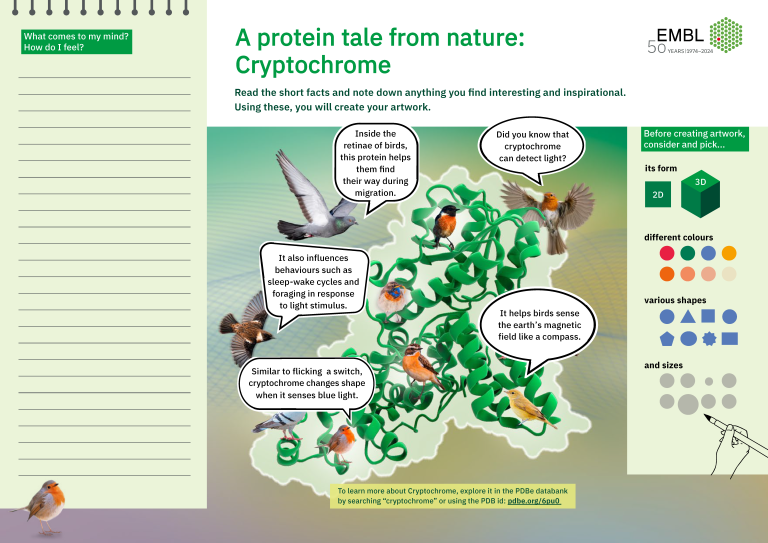 Collaborative project launched across EMBL member states invites ...
