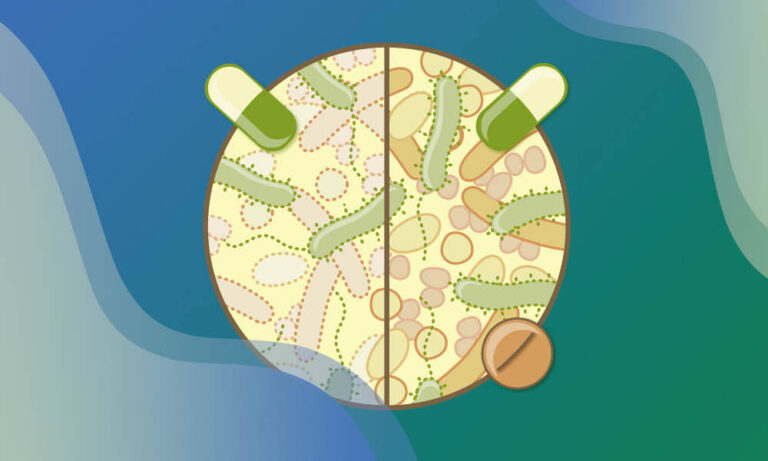 How our gut microbiome changes over time | EMBL