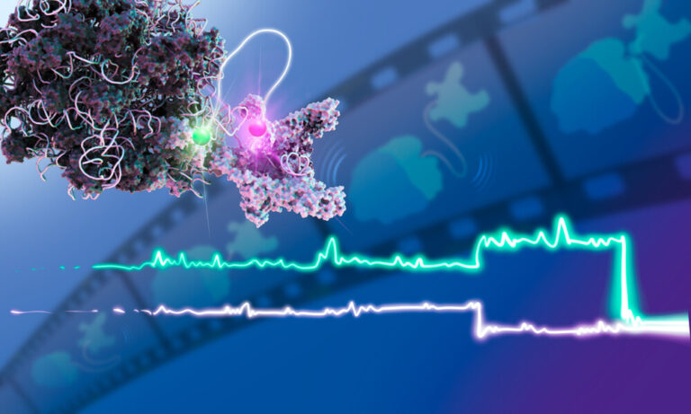 Computational protein design and protein structure prediction win Nobel Prize in Chemistry | EMBL