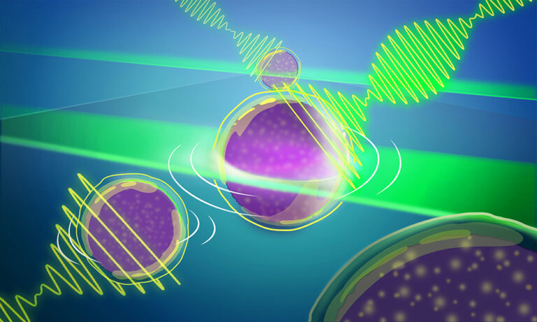 Computational protein design and protein structure prediction win Nobel ...