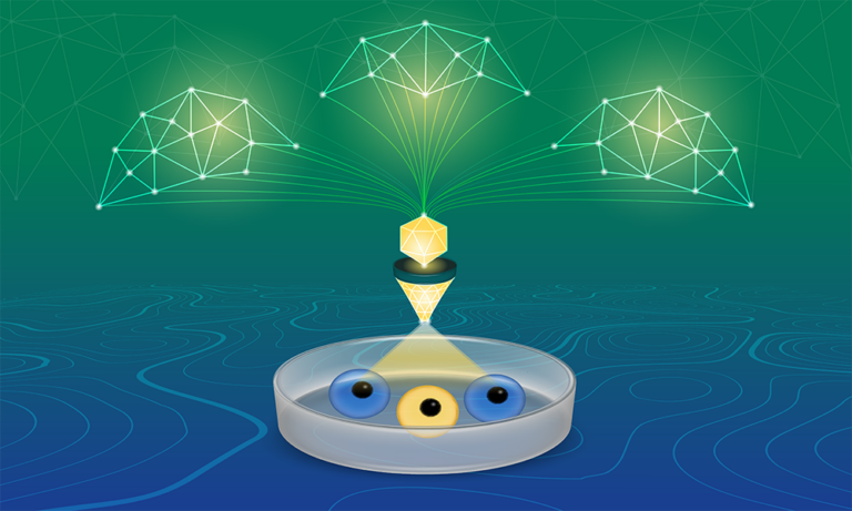 DECIPHER database for rare diseases joins EMBL-EBI | EMBL