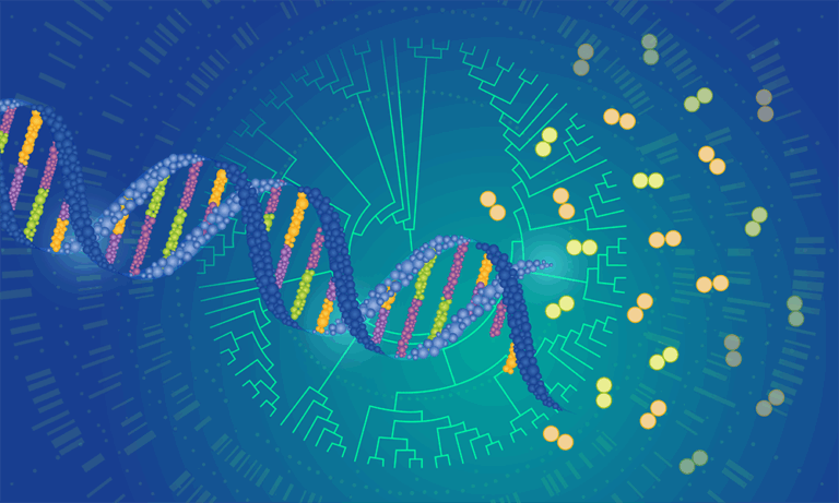 Computational protein design and protein structure prediction win Nobel ...