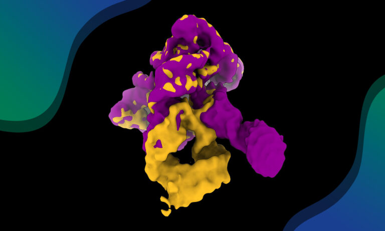 Cerebral malaria: new study shows how the malaria parasite opens the ...