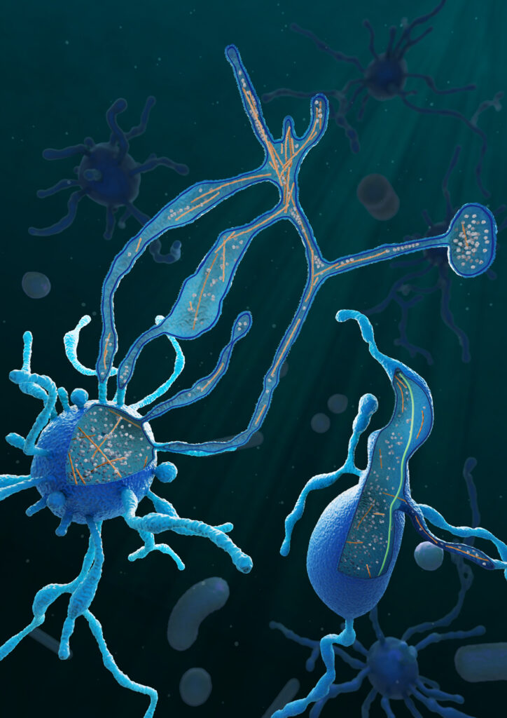 Archaea, the ultimate survivor | EMBL