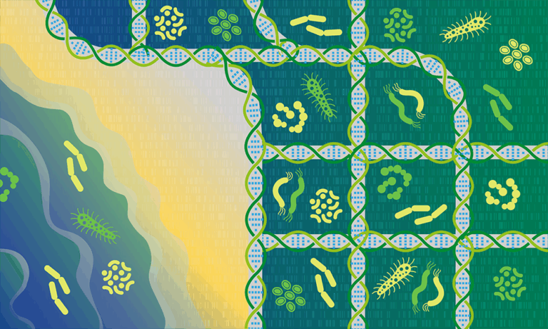 VIRE: a global data platform to better understand viruses | EMBL